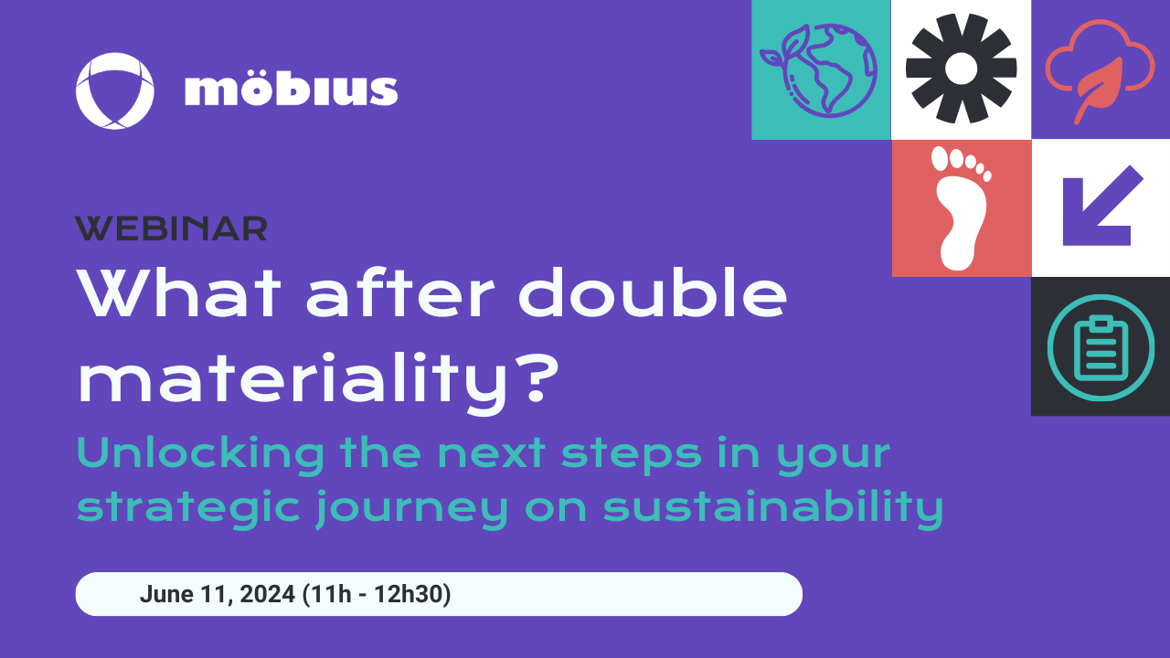 What after double materiality? Unlocking the next steps in your strategic journey on ...